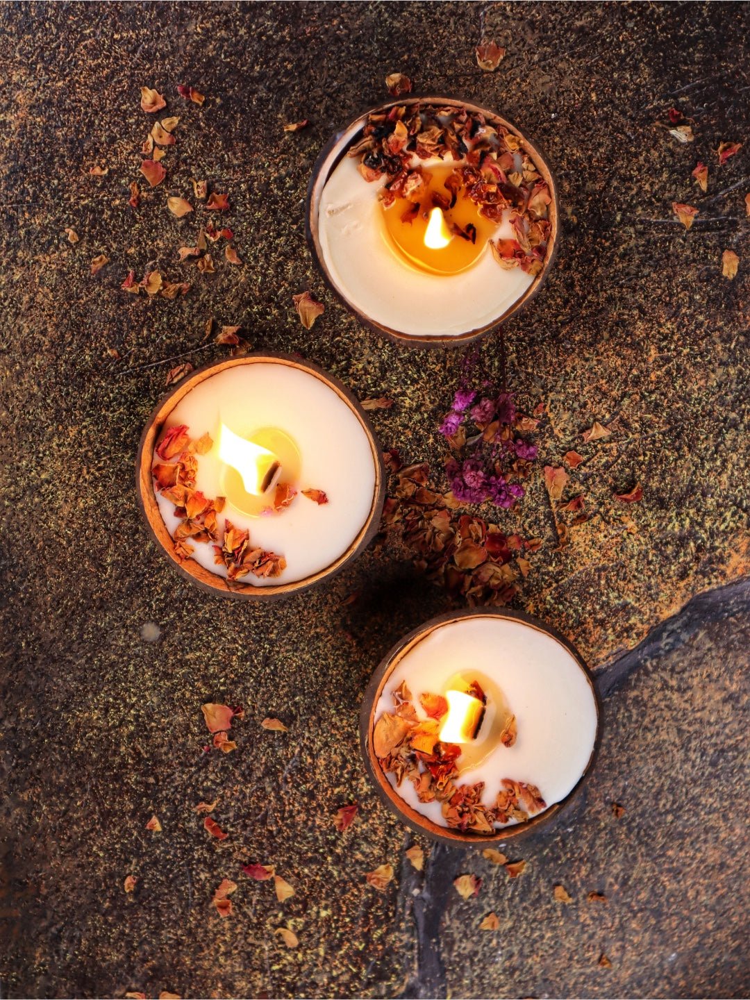 Coconut Shell Soy Candle with Rose – Pack of 3 – Mandy and Co